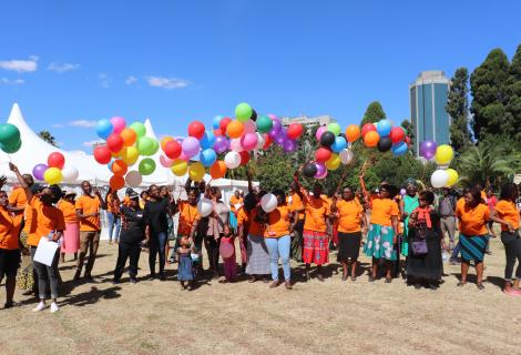 Press Release | ActionAid Zimbabwe